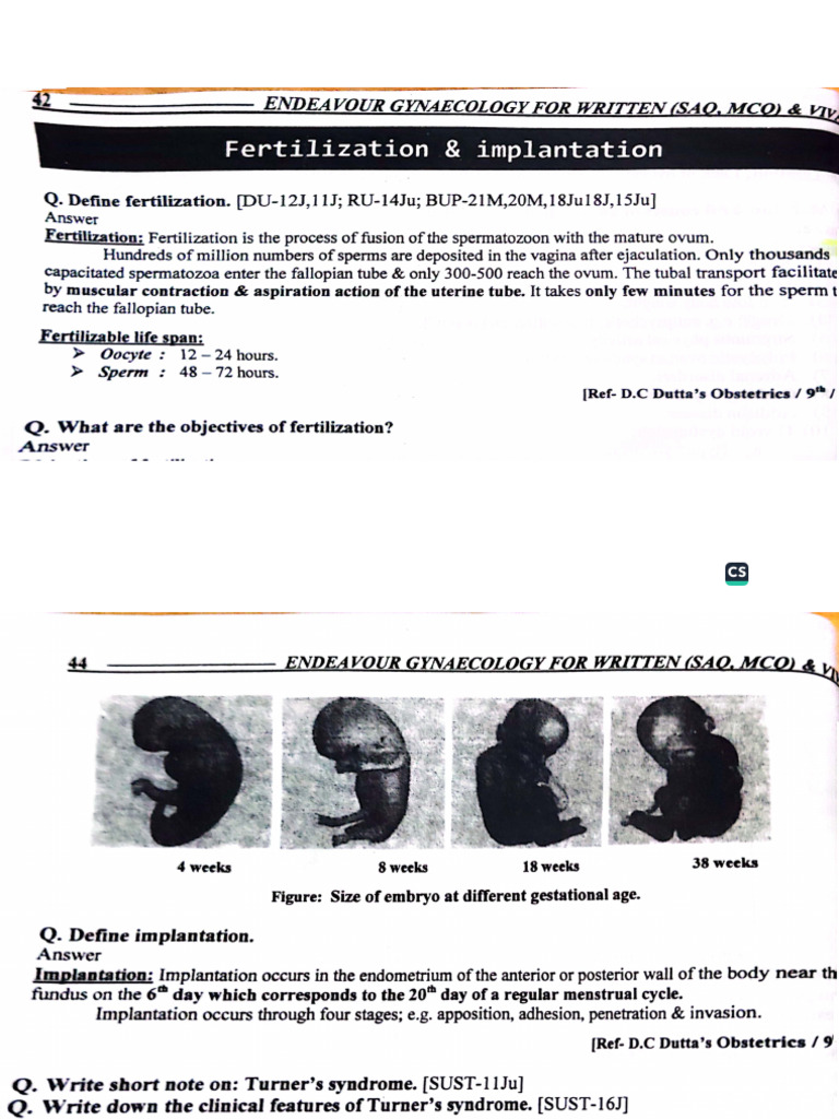 Gynae 1st Term | PDF