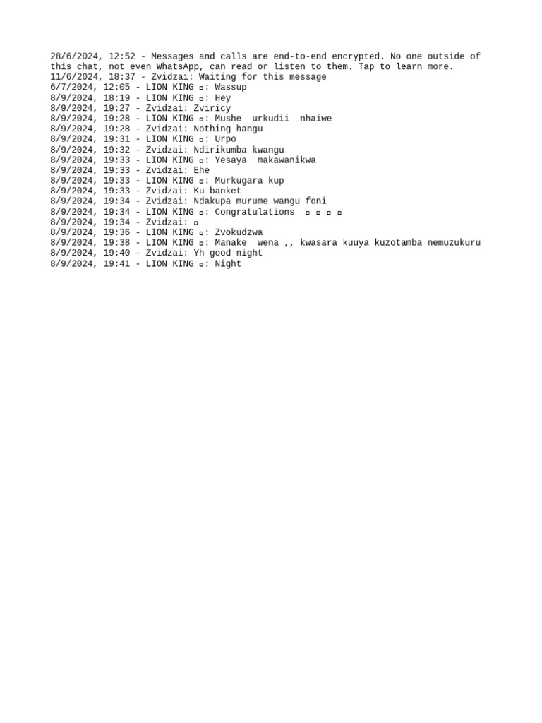 WhatsApp Chat With Zvidzai | PDF