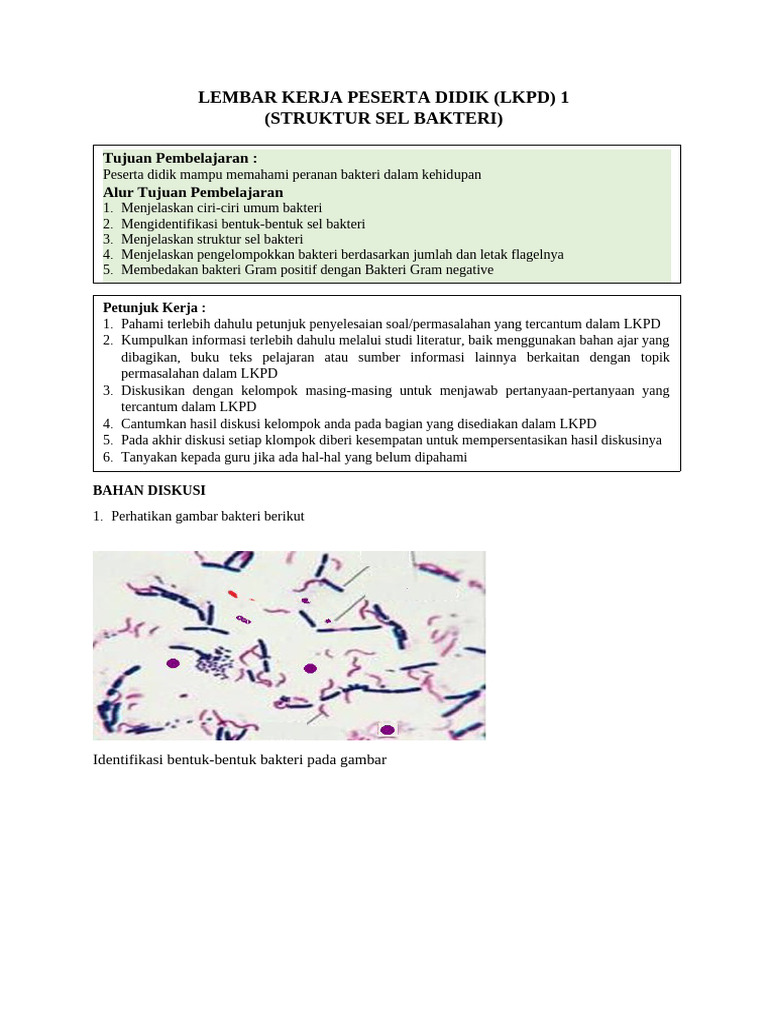 LKPD 1 BAKTERI | PDF