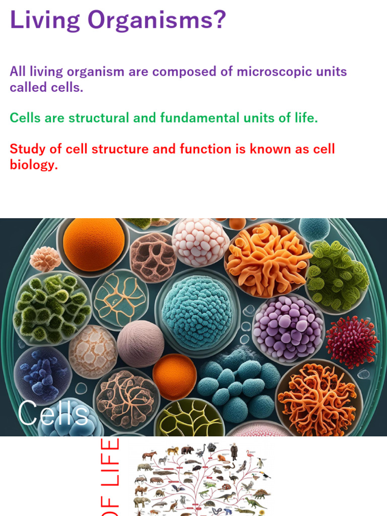 CellBio_L1_L2_Cell Structure and function | PDF