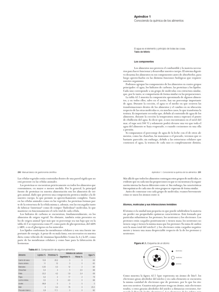 Apendices Koppmann. Manual Basico 1 | PDF