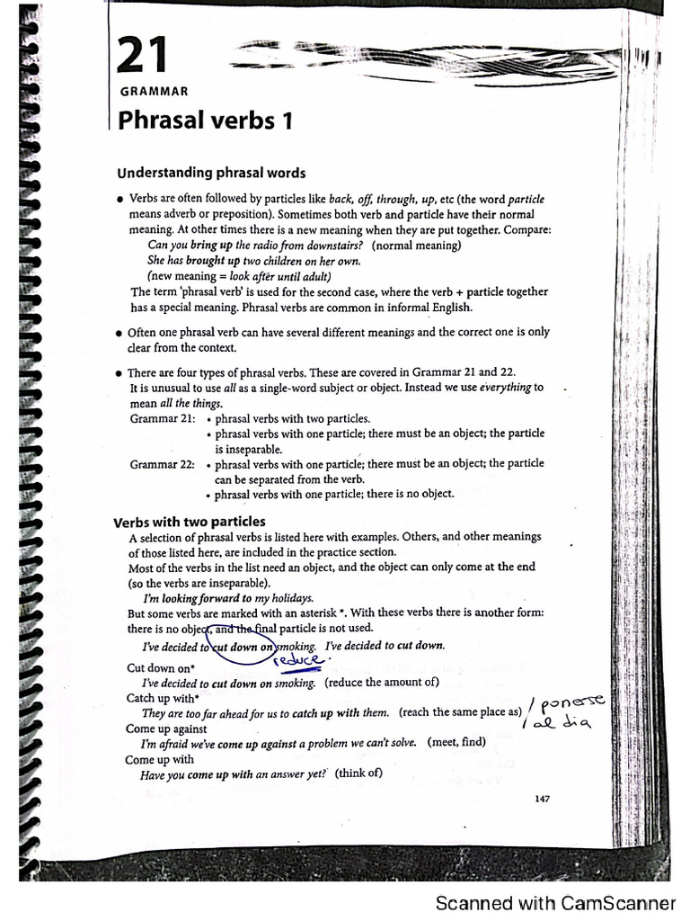 Phrasal Verbs - Inversion | PDF