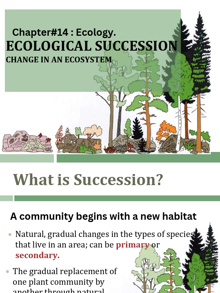 Ecological Succession Change in An Ecosystem - PPTX 20241010 052633 ...