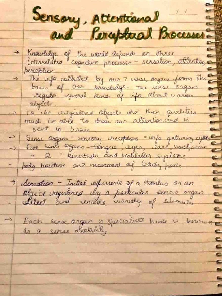 Psychology - Sensory, Attentional, and Perceptual Processes Notes | PDF