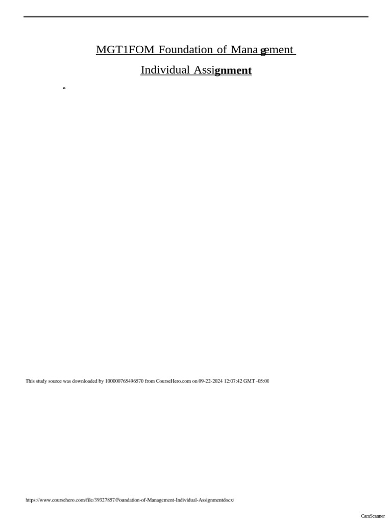 Foundation of Management Individual Assignment | PDF | Systems Theory | Career & Growth