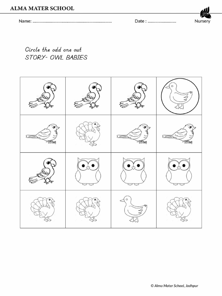 Odd One Out Owl Worksheet | PDF