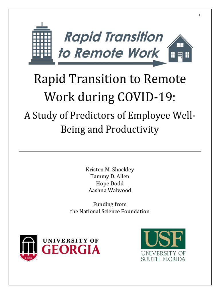 Remote Work Grant Summary of Findings Final | PDF