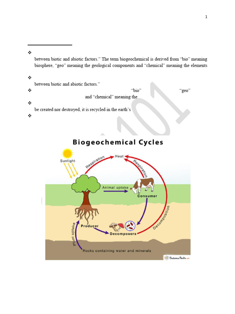 BIOGEOCHEMICAL CYCLE by Hozaifa | PDF