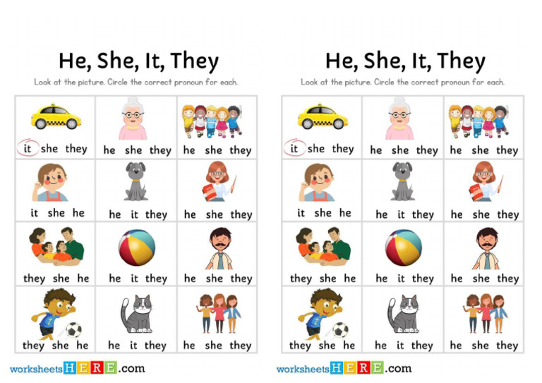 he she it they 3. razred | PDF