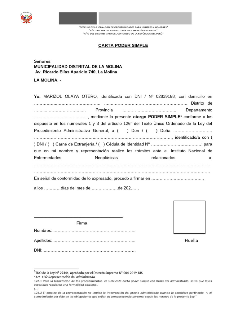 Formato de Carta Poder Simple | PDF