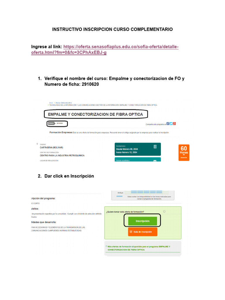 INSTRUCTIVO INSCRIPCION CURSO COMPLEMENTARIO (2) | PDF
