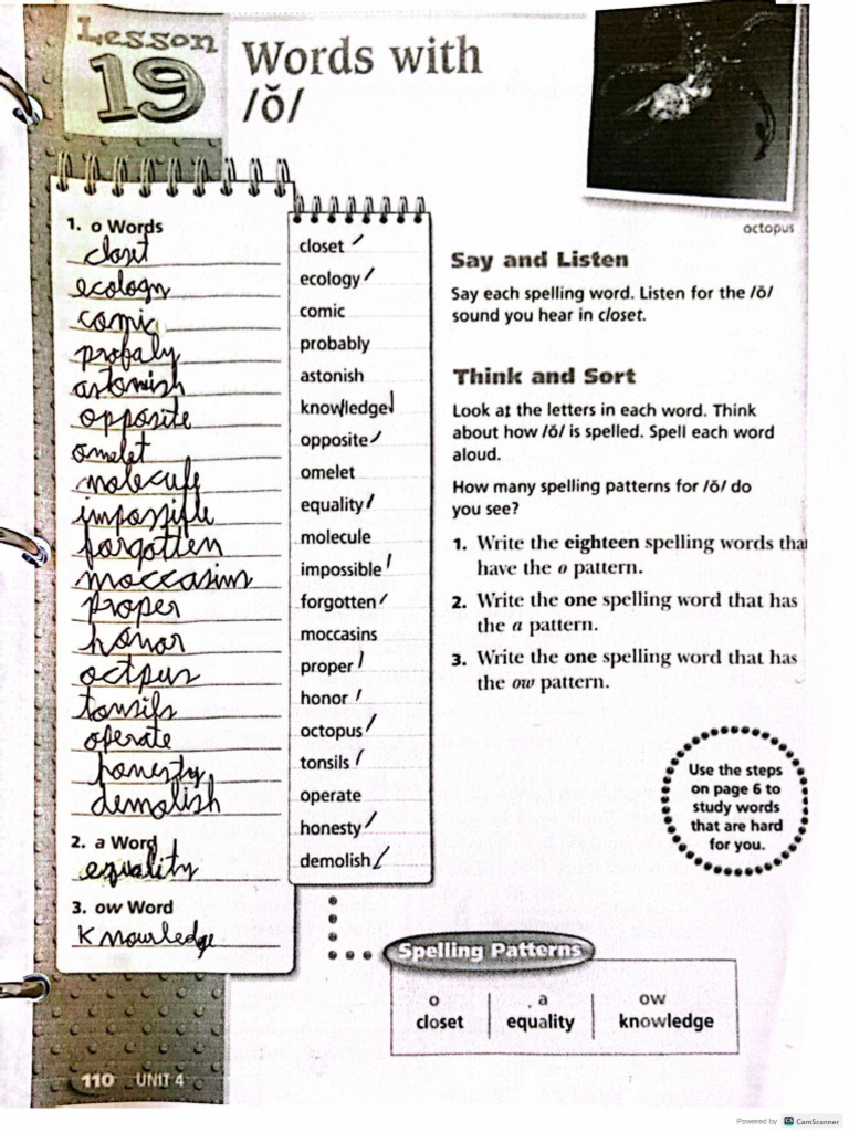 Lesson 19 To Do | PDF