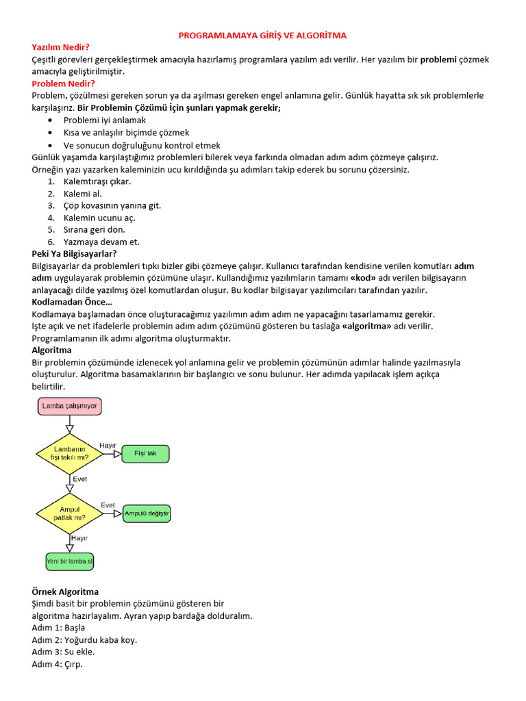 Programlamaya Gyryy Ve Algorytma | PDF