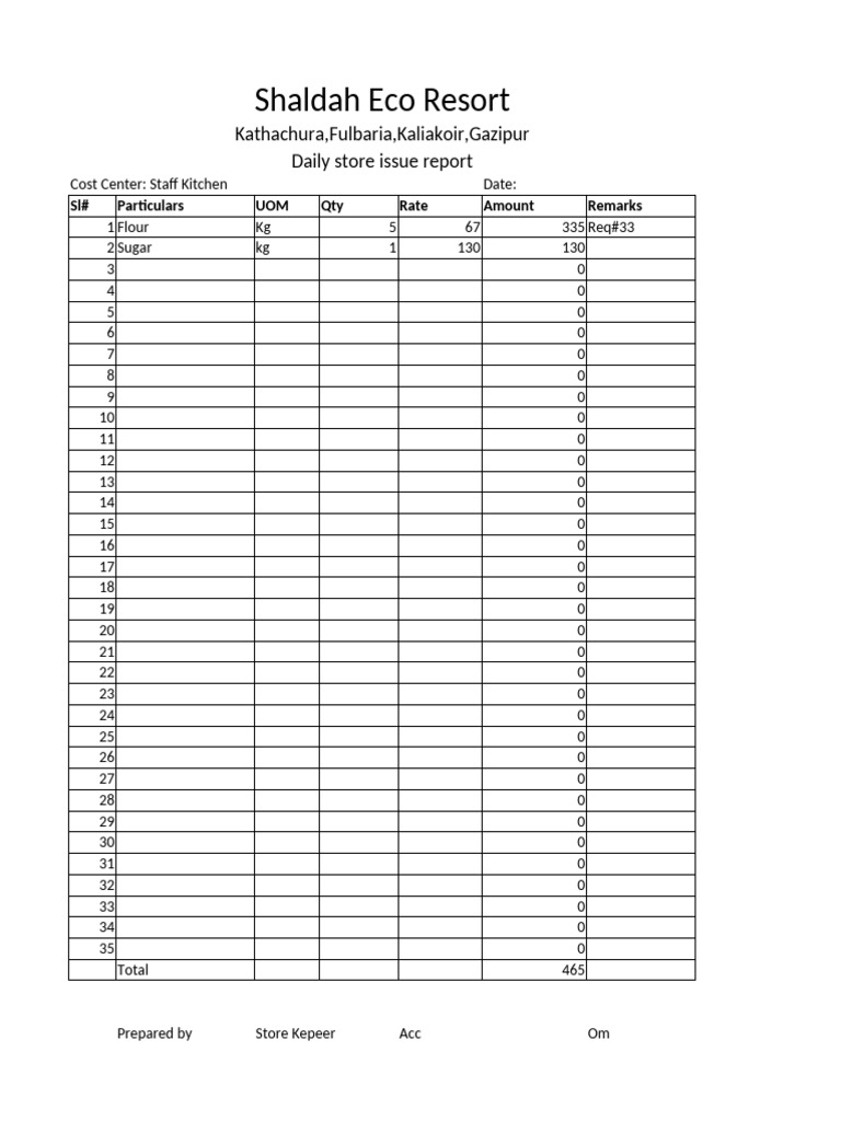Daily Materials Issue Report | PDF