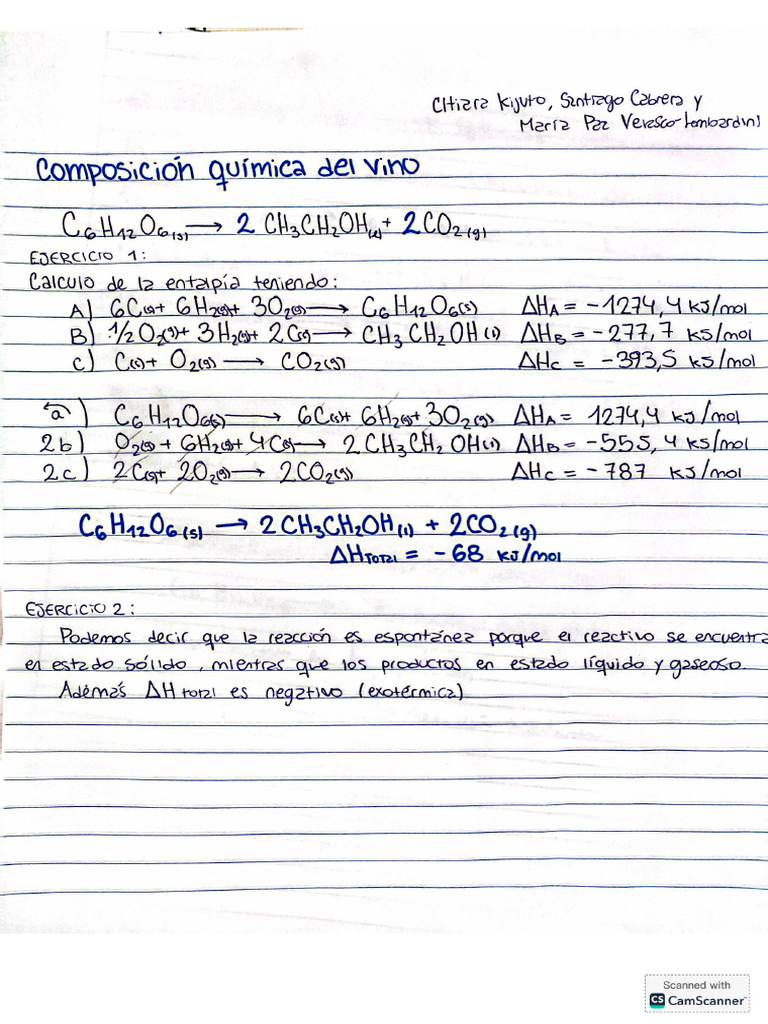 Trabajo Termoquímica | PDF