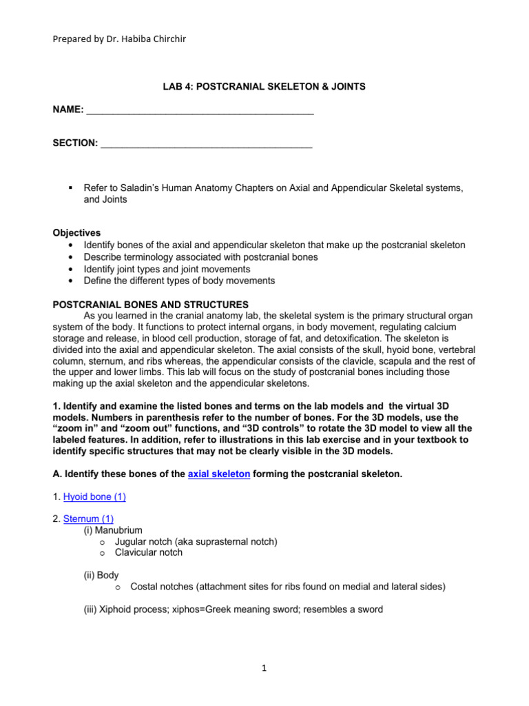 LAB 4 Postcranial Lab | PDF