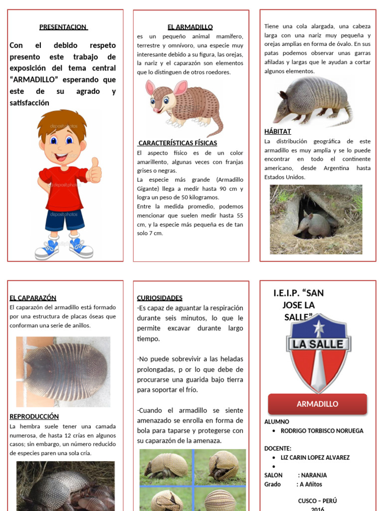 El Armadillo | PDF