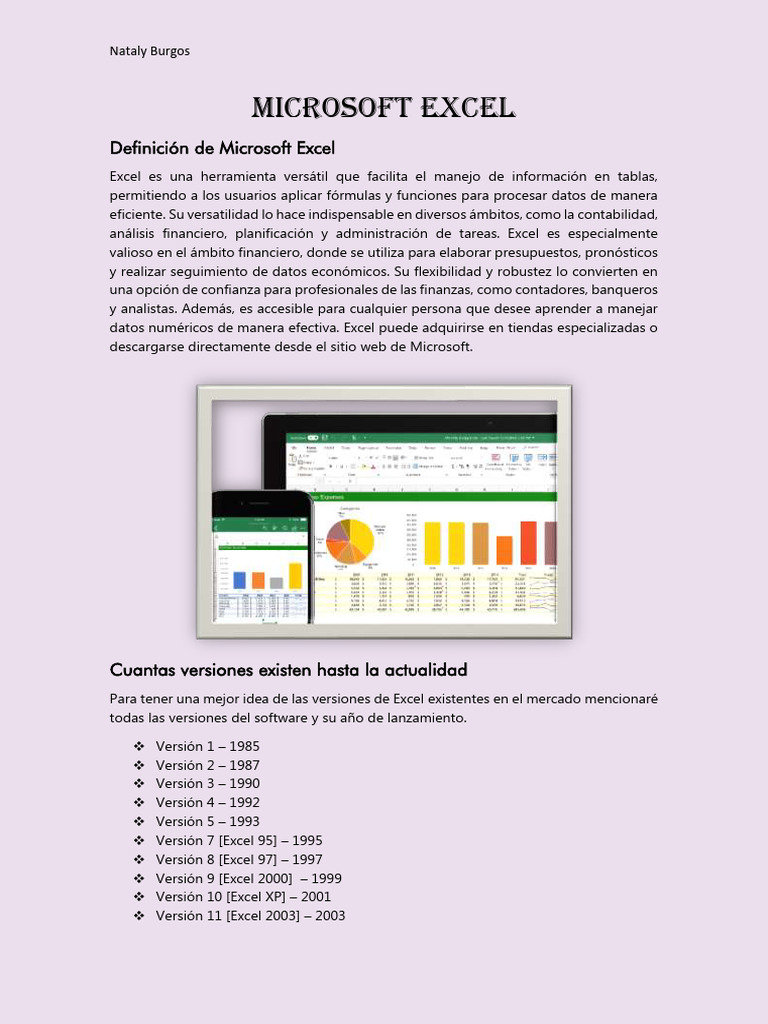 Microsoft Excel Ofimatica | PDF
