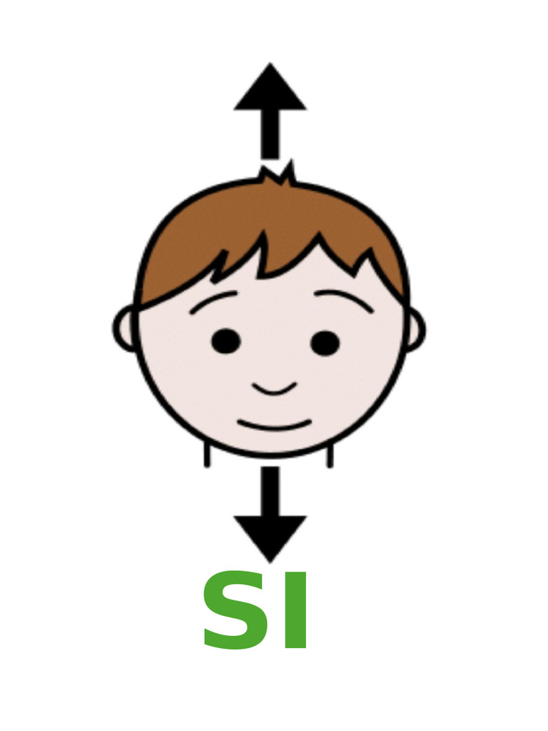 Fichas de Si y No | PDF