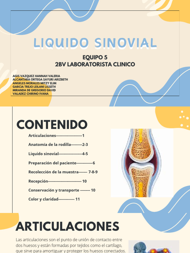 Liquido Sinovial | PDF