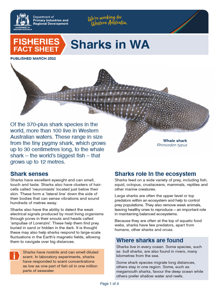 fact_sheet_sharks | PDF