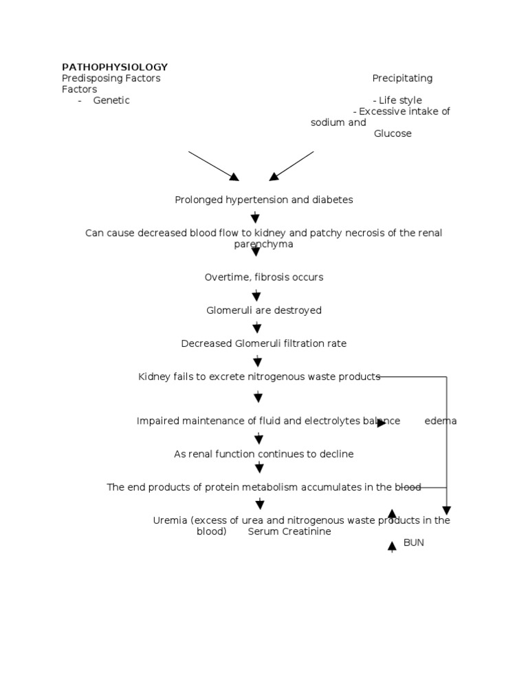 Pathophysiology CKD | PDF