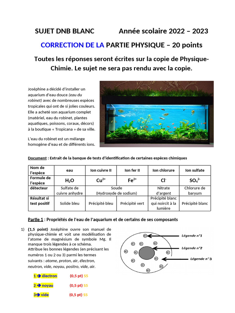 Correction DNB Blanc SPC | PDF