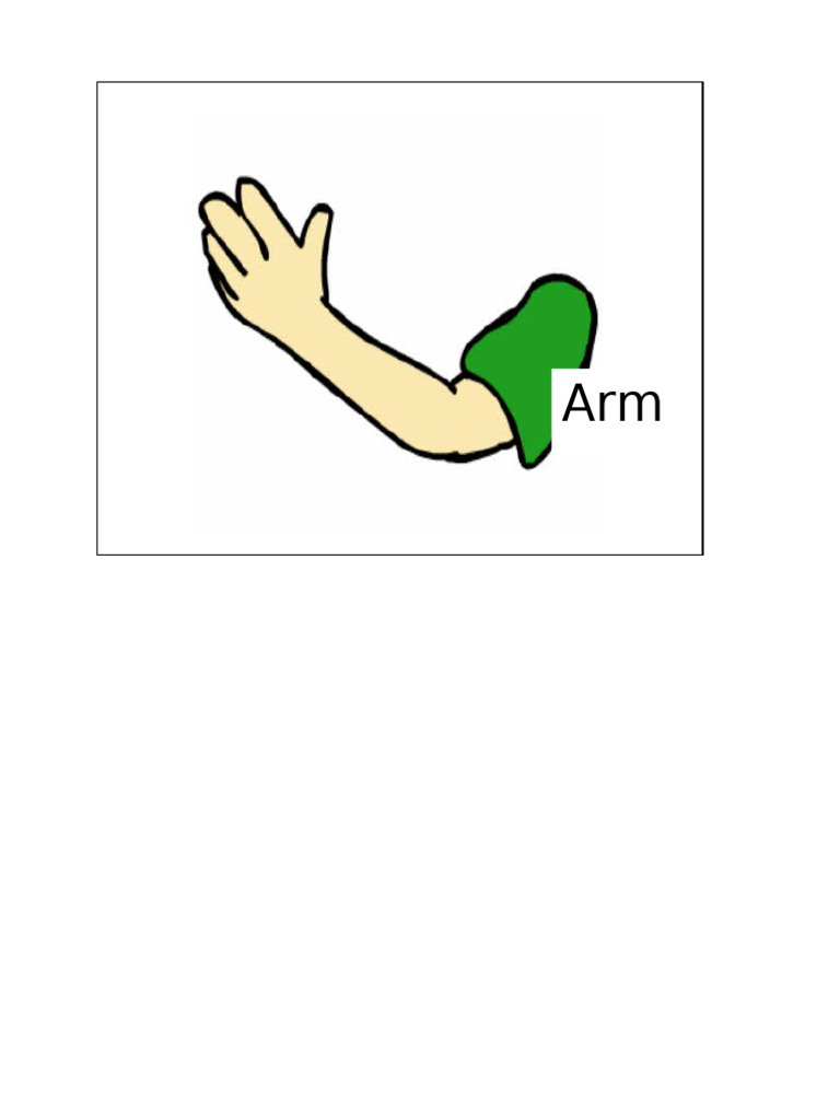 Arm | PDF