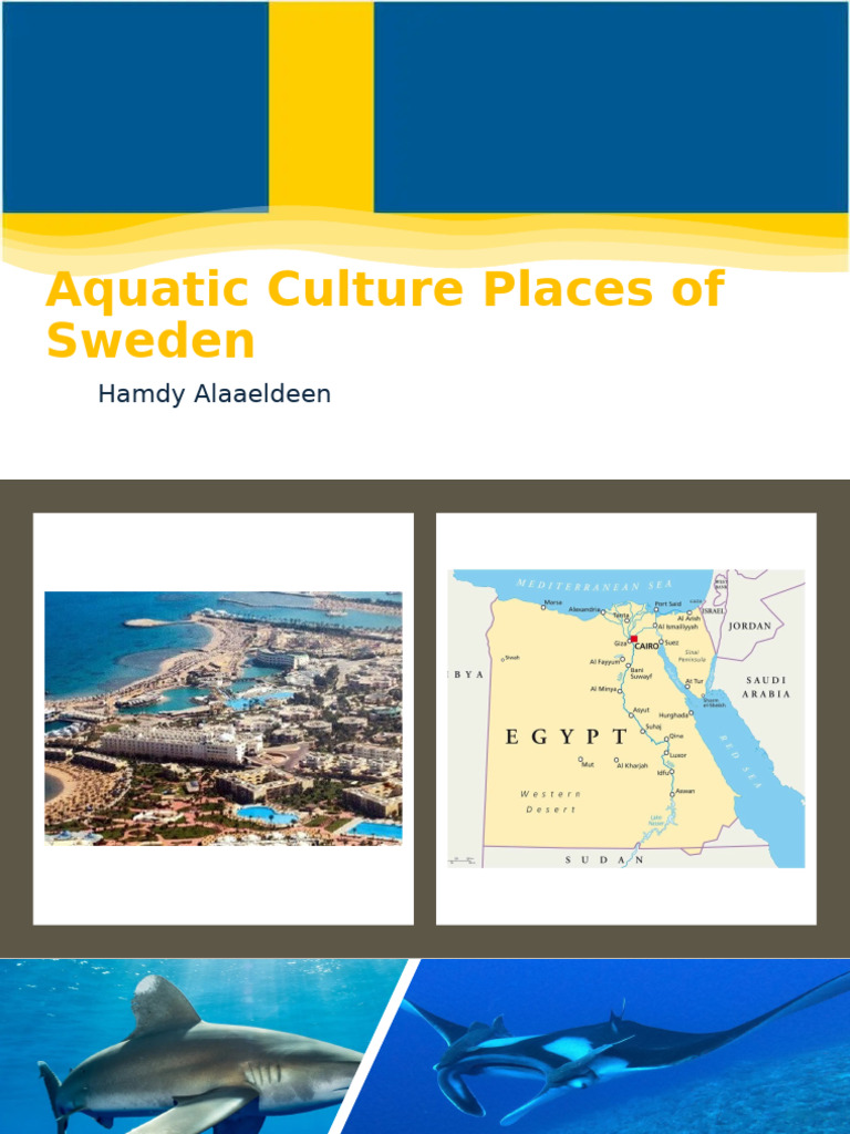 Swedish Presentation | PDF