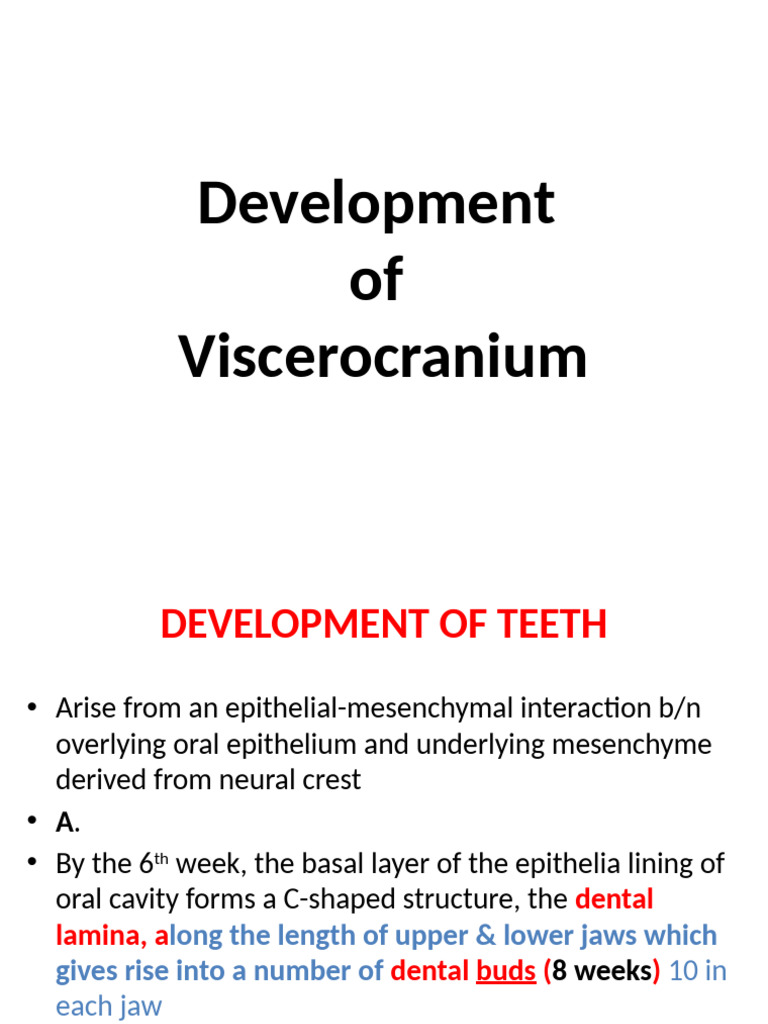 Development of Viscerocranium | PDF
