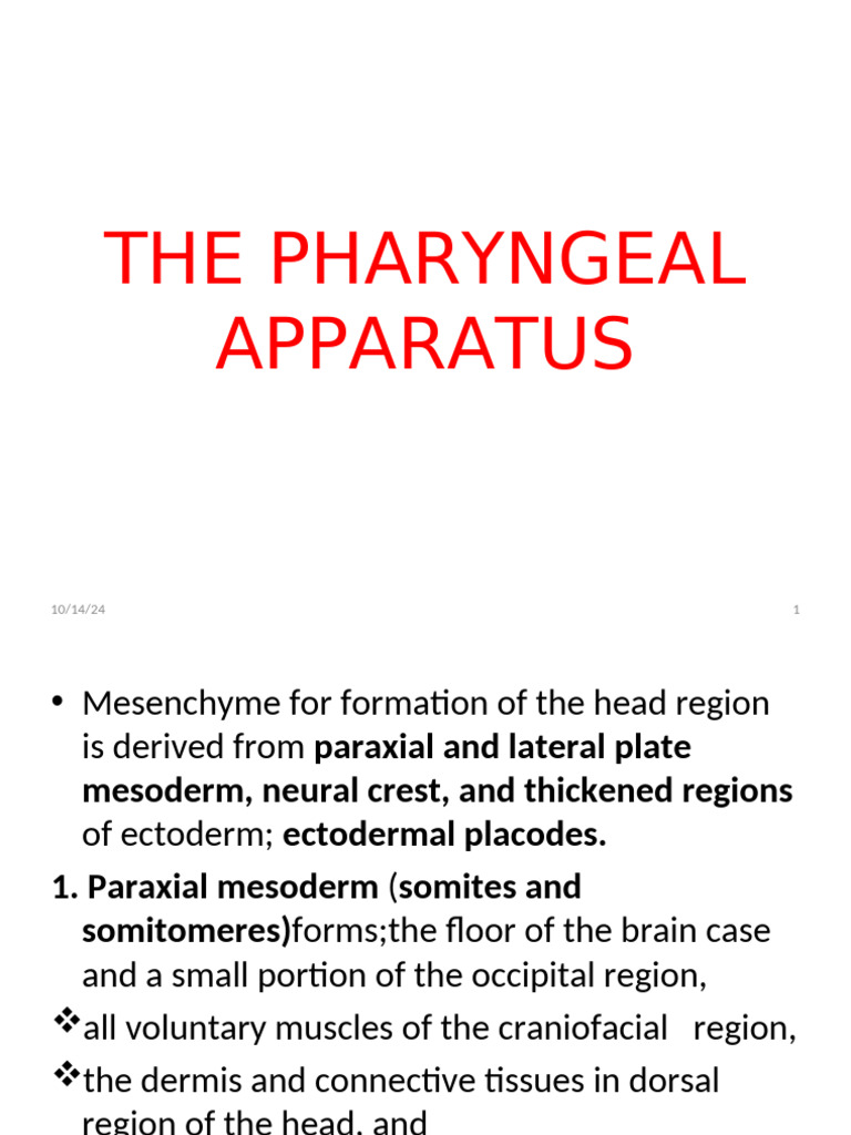 Development of Pharyngeal Apparatus | PDF