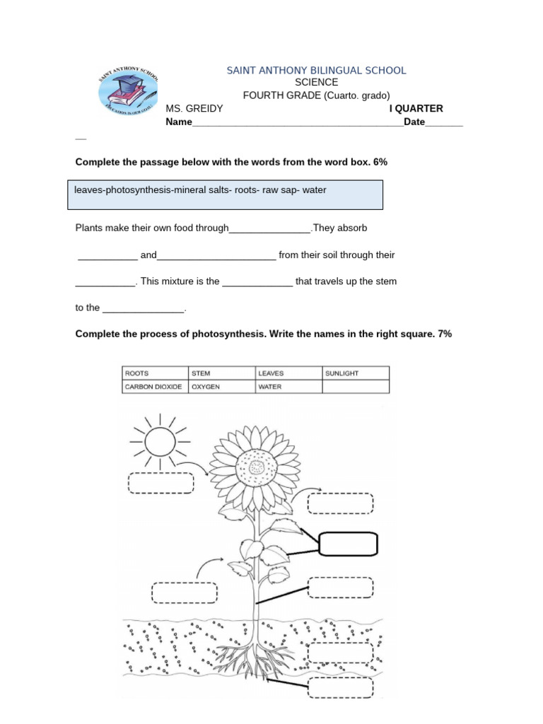 Ciencia 4to Grado: Actividades | PDF