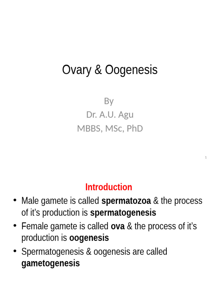 Ovary & Oogenesis | PDF