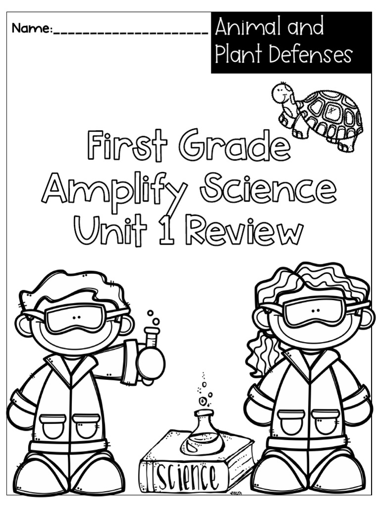 1st Grade Amplify Unit 1 Review Worksheets | PDF