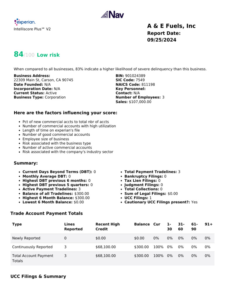 Experian Business Report - D & E LOGSITCS INC 09-25-2024 | PDF