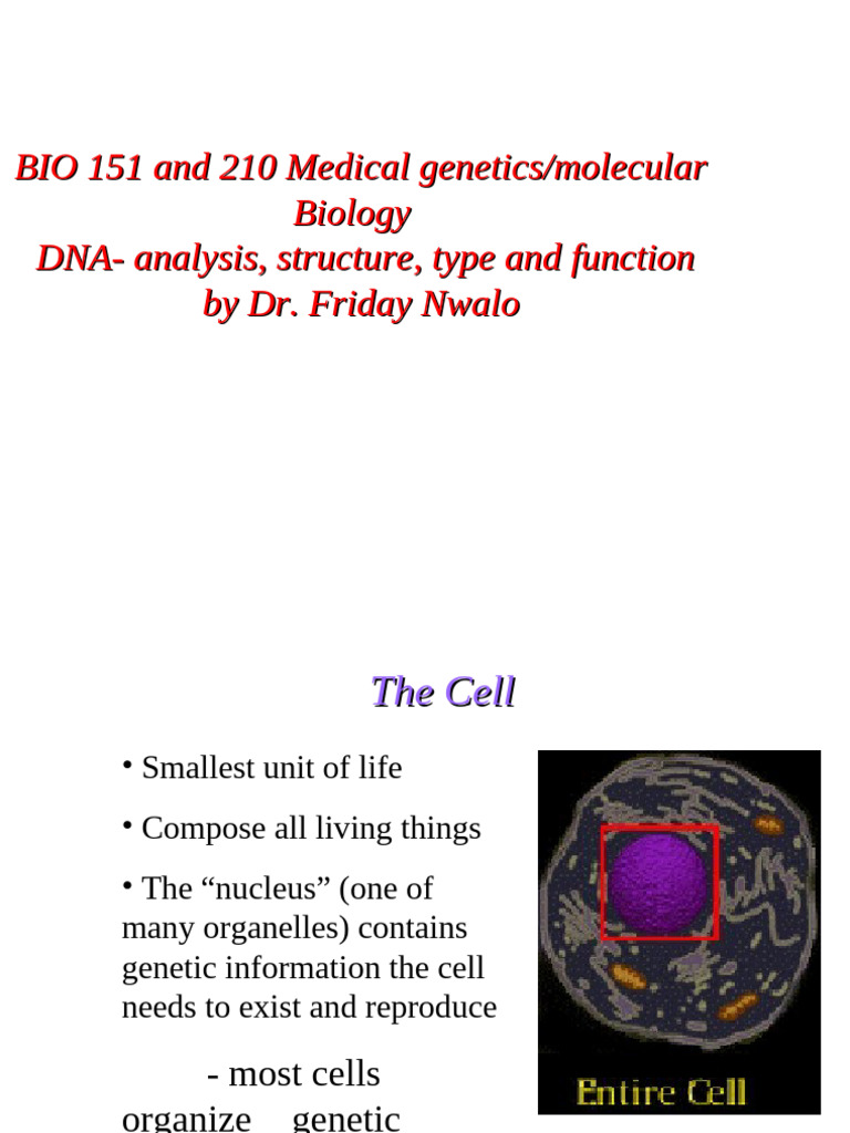 BIO 151 DNA Analysis Structure Type and Function by Dr. Friday Nwalo | PDF