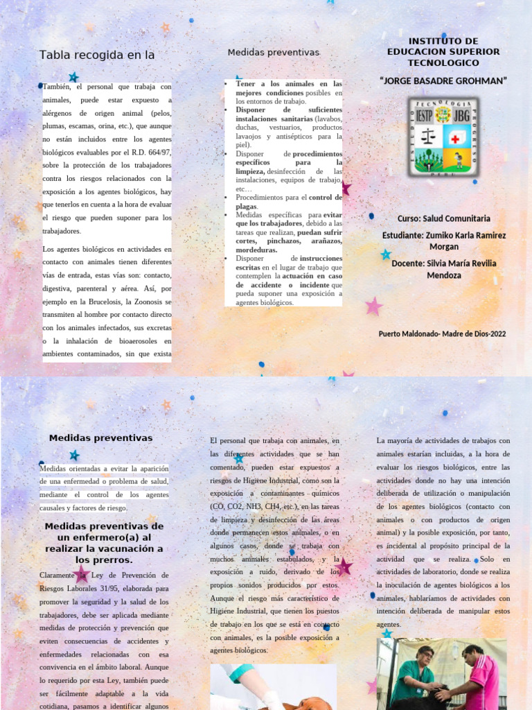 triptico ejemplo | PDF
