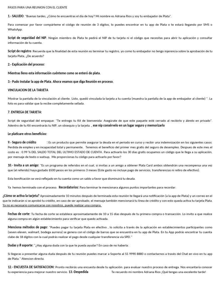 Pasos para Una Reunion Con El Cliente Plata | PDF