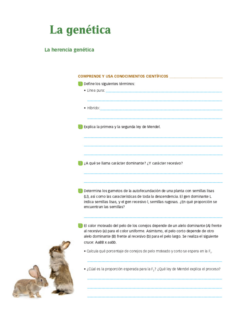 A 4º Prac Act 1 Cyt Und 6 | PDF