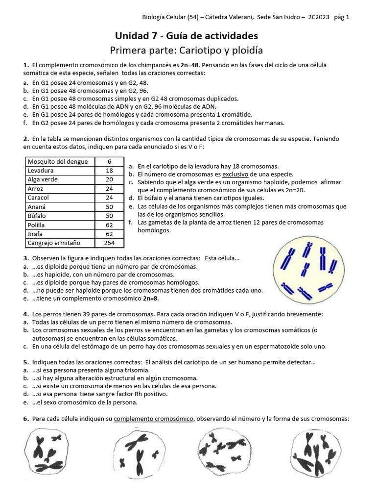 Unidad 7 Guía de Actividades | PDF