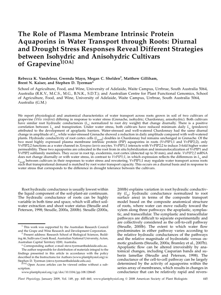 Different Strategies Between Isohydric and Anisohydric Cultivars of ...