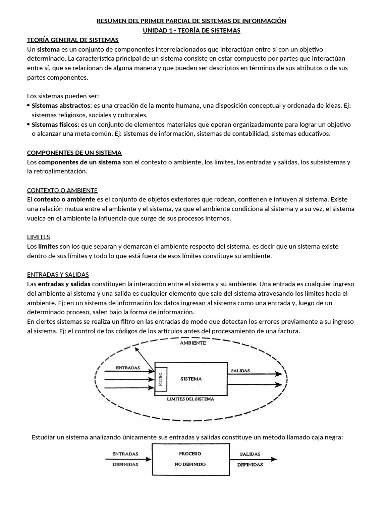 Resumen Del Primer Parcial de Sistemas de Información (Más Resumido) | PDF