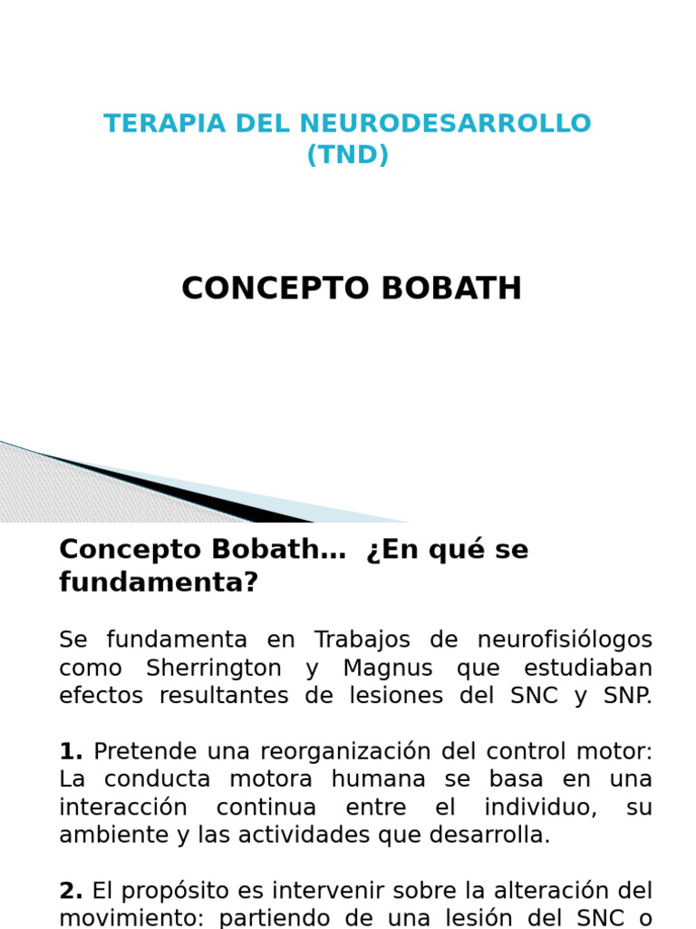 TND Concepto Bobath 2023 | PDF