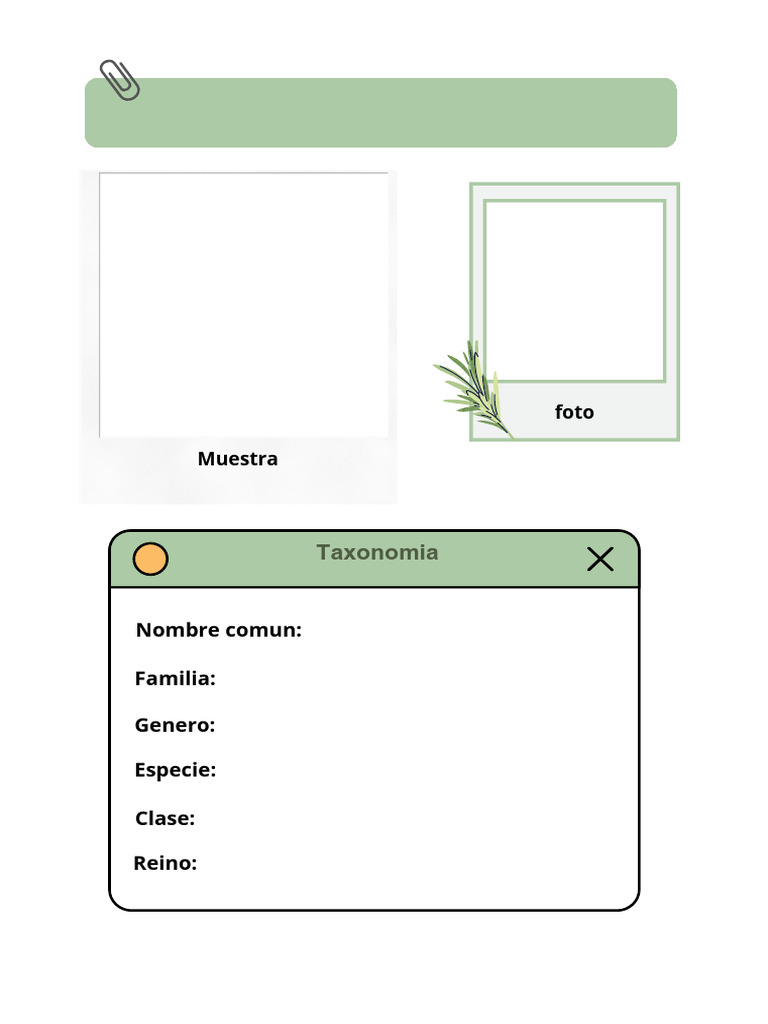 Muestra 20240922 223808 0000 | PDF