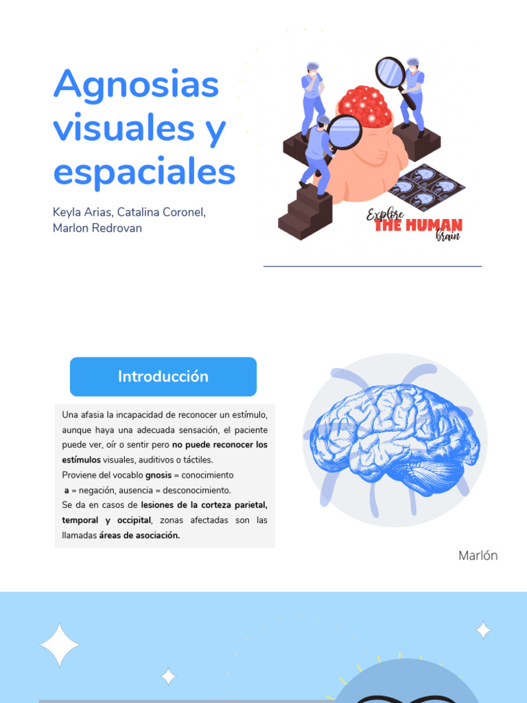 Agnosias visuales y espcaciales | PDF