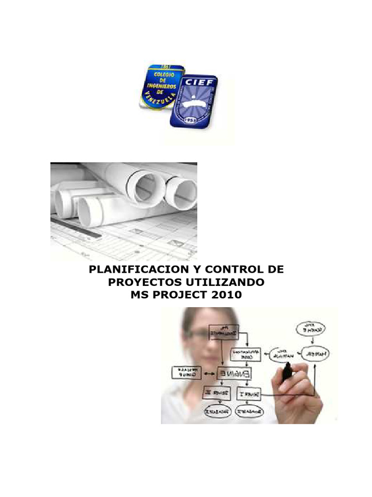 Manual Project 2010 2003 | PDF