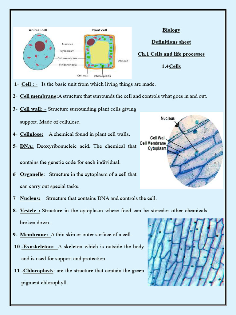 Definations Sheet For Lesson 4.cells | PDF