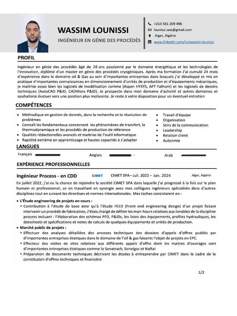 Cv Ing Process Act (Fr) | PDF