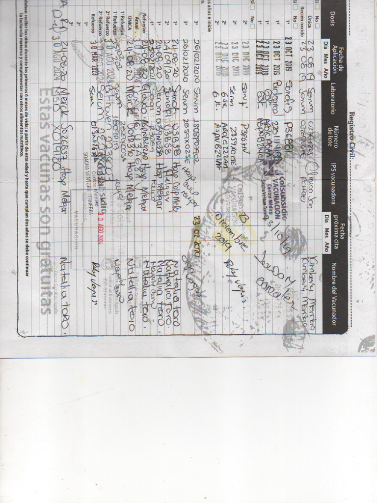 Escáner 20240908 | PDF