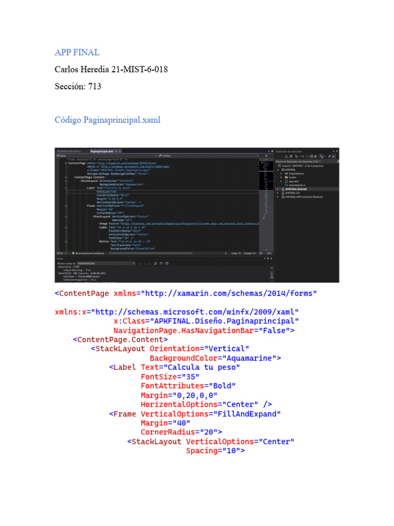 APP FINAl | PDF | Computer Programming | Computers